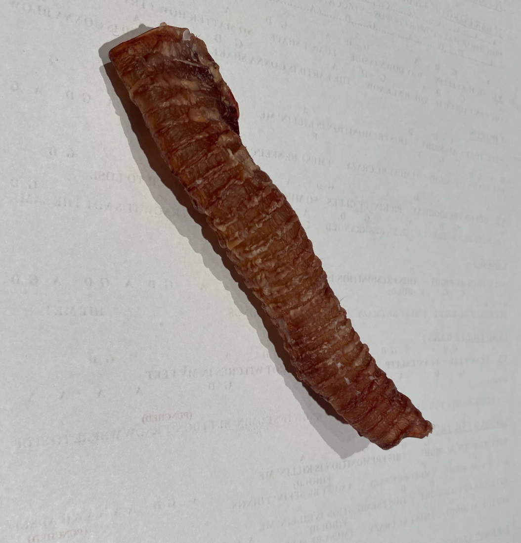 Sheep Trachea – South Melbourne Market Pet Shop