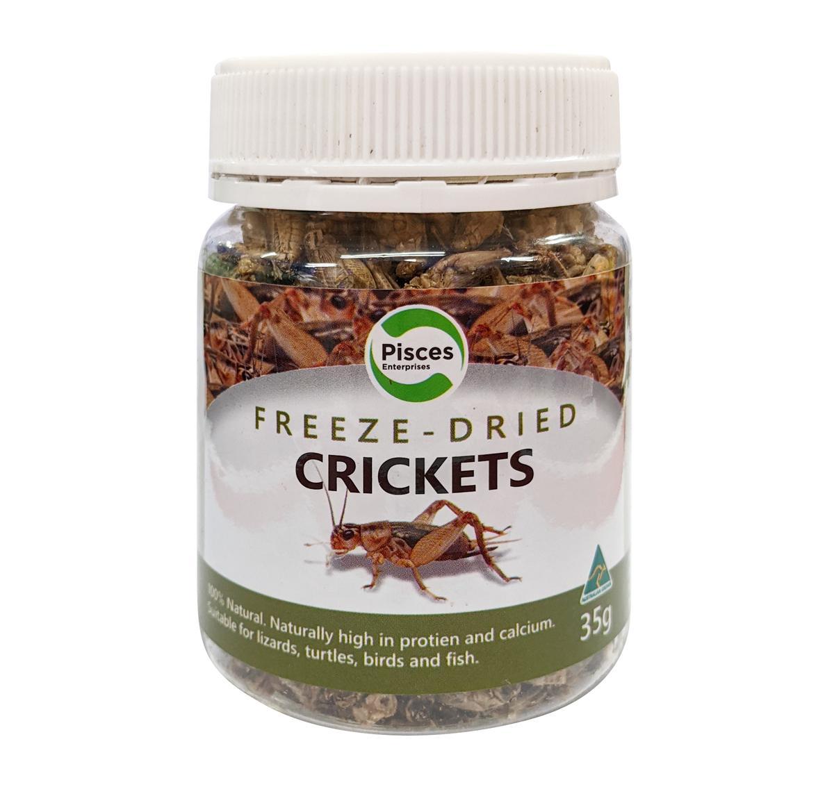 Freeze Dried Crickets (35g) – South Melbourne Market Pet Shop